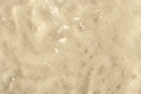 Sebum & Oil Control, Acne Pits, Acne Spots & Pimple Repair Acne Gel